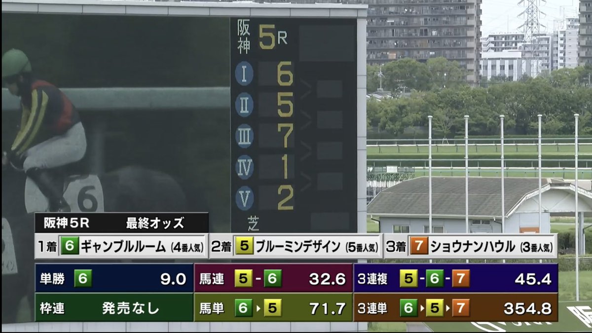 螺旋 on Twitter: "2023/06/25 阪神5R 馬単2頭裏表で的中🎯 (´-ω-`)マジか！！！ #JRA #宝塚記念"