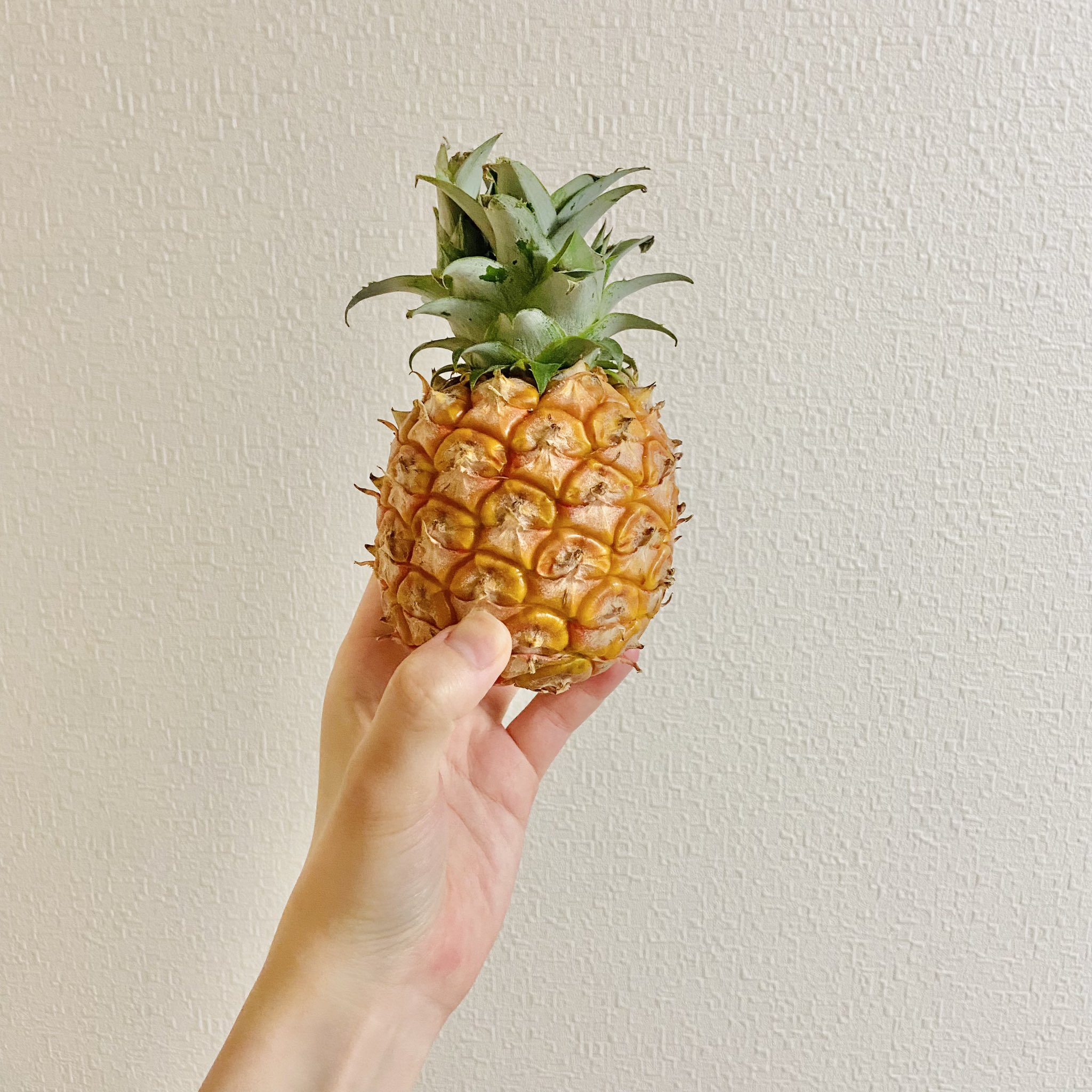 𝘬𝘢𝘯𝘰 on Twitter: "テレビがないのでしらなかったが、梅雨入りしてるらしいね https://t.co/qN8bV45Jwf" / Twitter