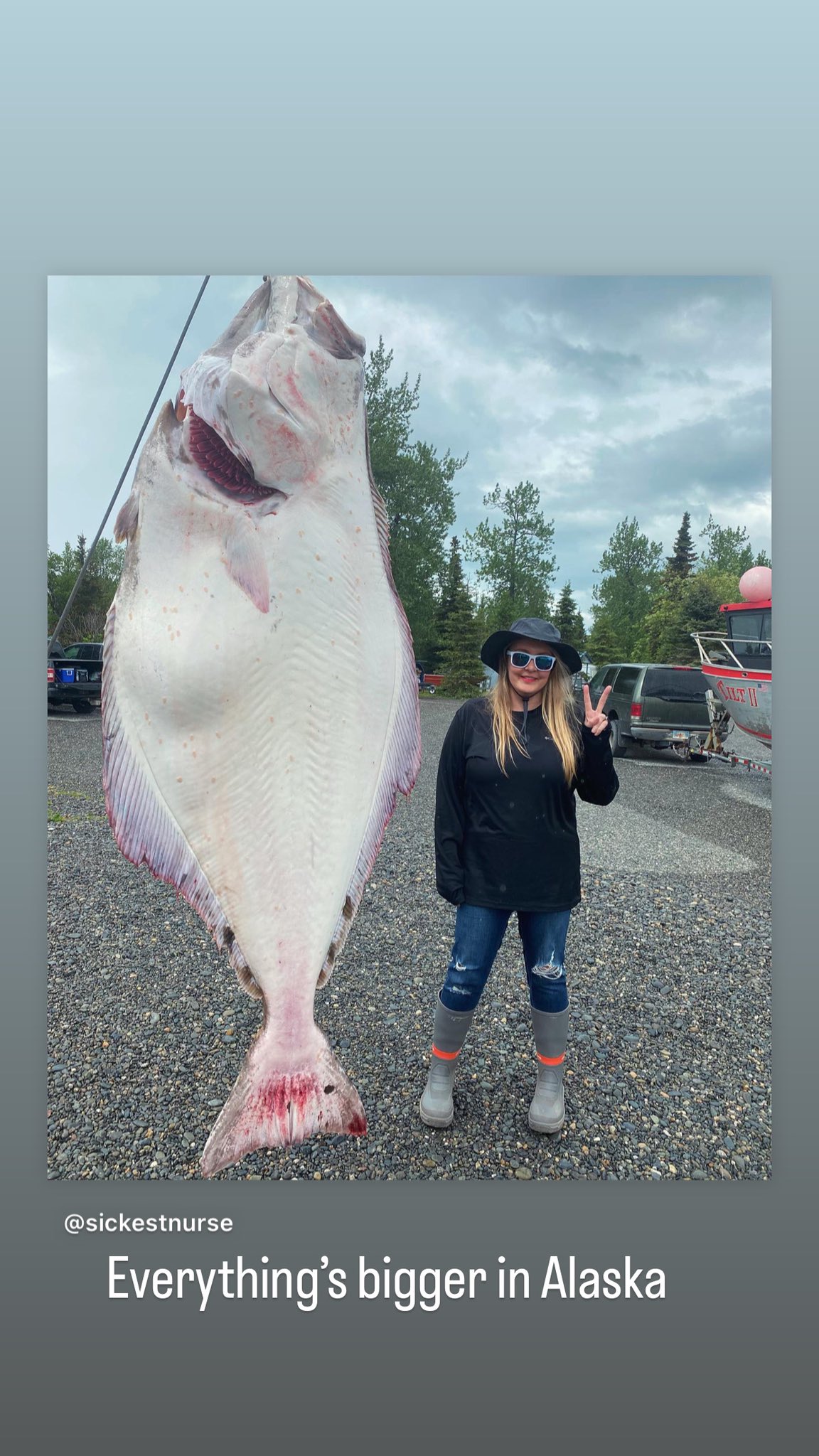 World Record Alaskan Halibut Halibut Fillet, Wild, Alaska, 1 Lb By