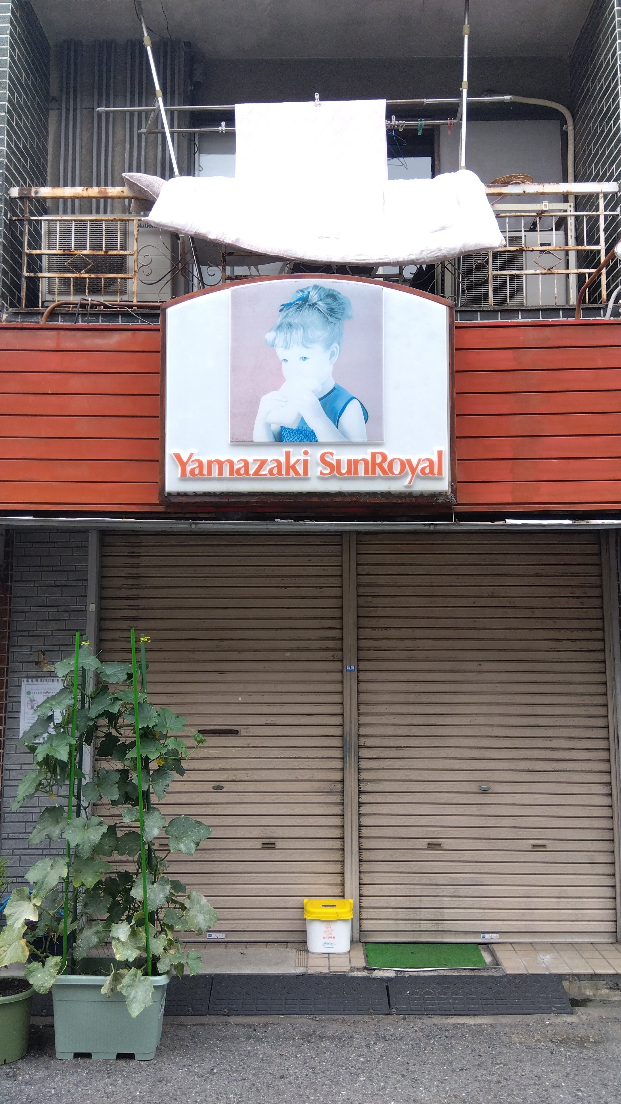 後 降裏夫 on Twitter: "@gureescape キュウリの鉢植えがいい味出してますねー😆" / Twitter