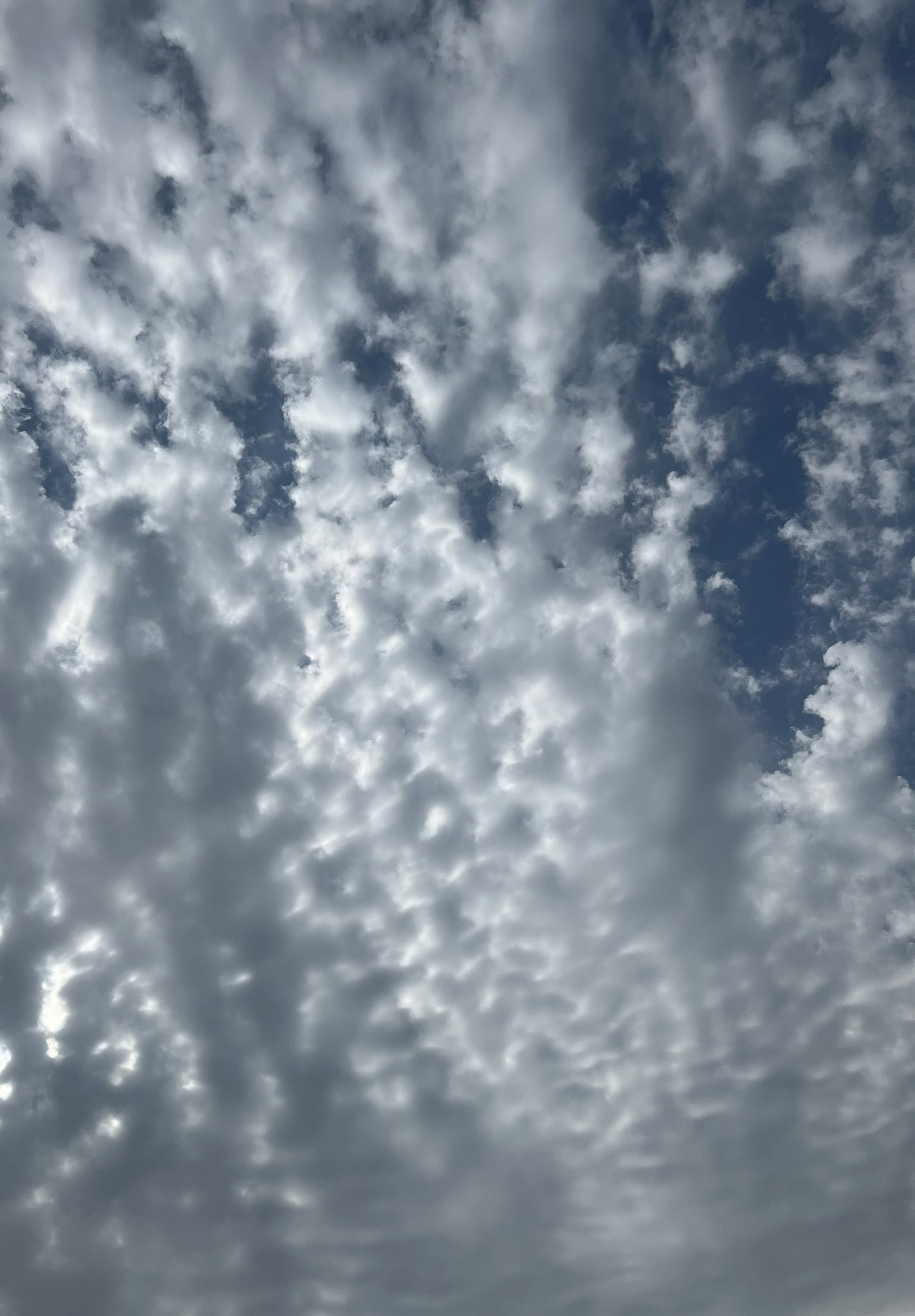 Kintsugi on Twitter: "Here comes the sun! 🌞 💛 Happy Sunday, folks! 😊 https://t.co/9mAEFGC0r8 ...