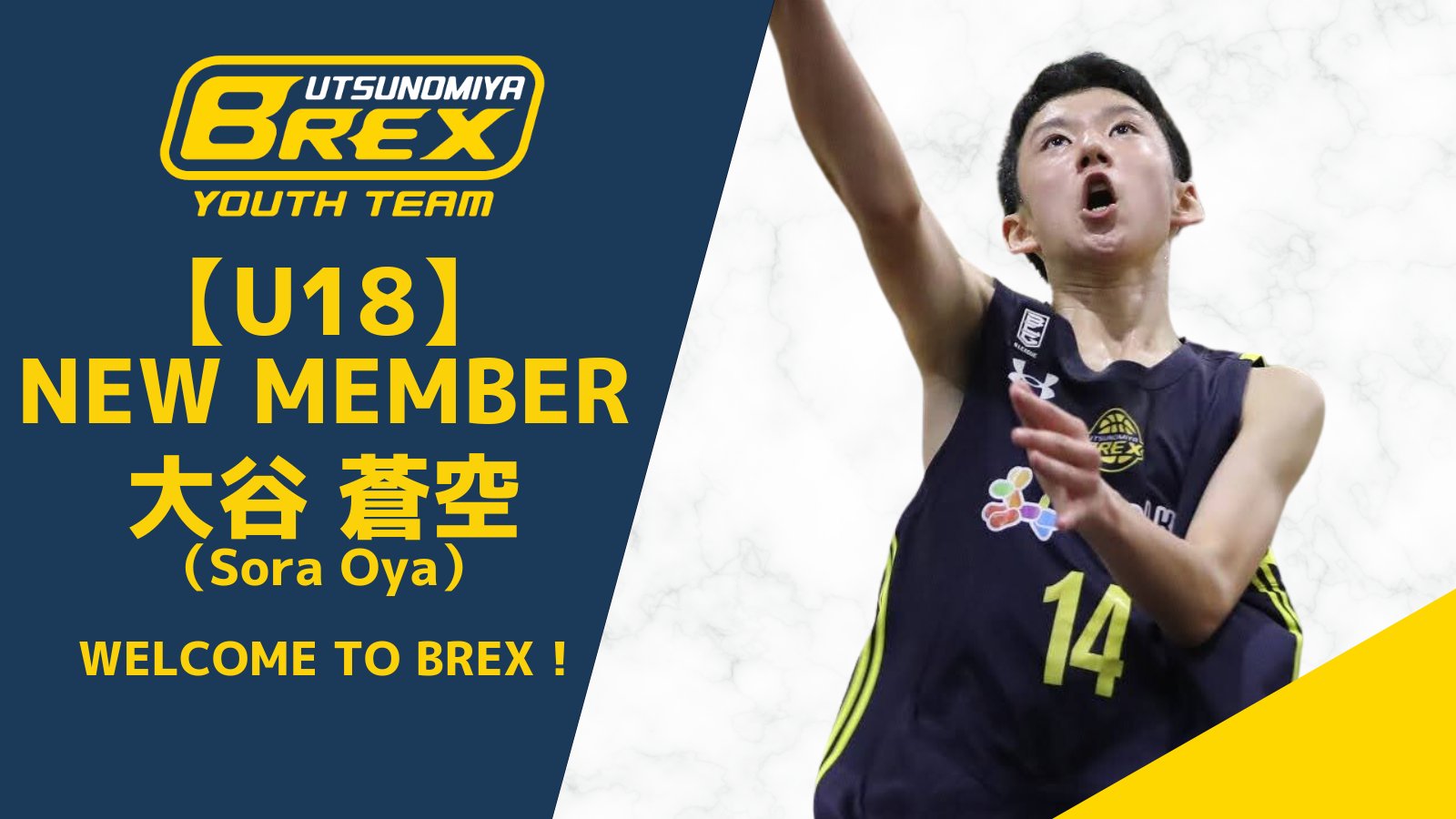 宇都宮ブレックス ユースチーム（U15・U18） on Twitter: "【U18】2024年度新規入団選手vol.1 来年度のU18の1人目の入団選手が決定しました。 U15からの内部昇格 ...