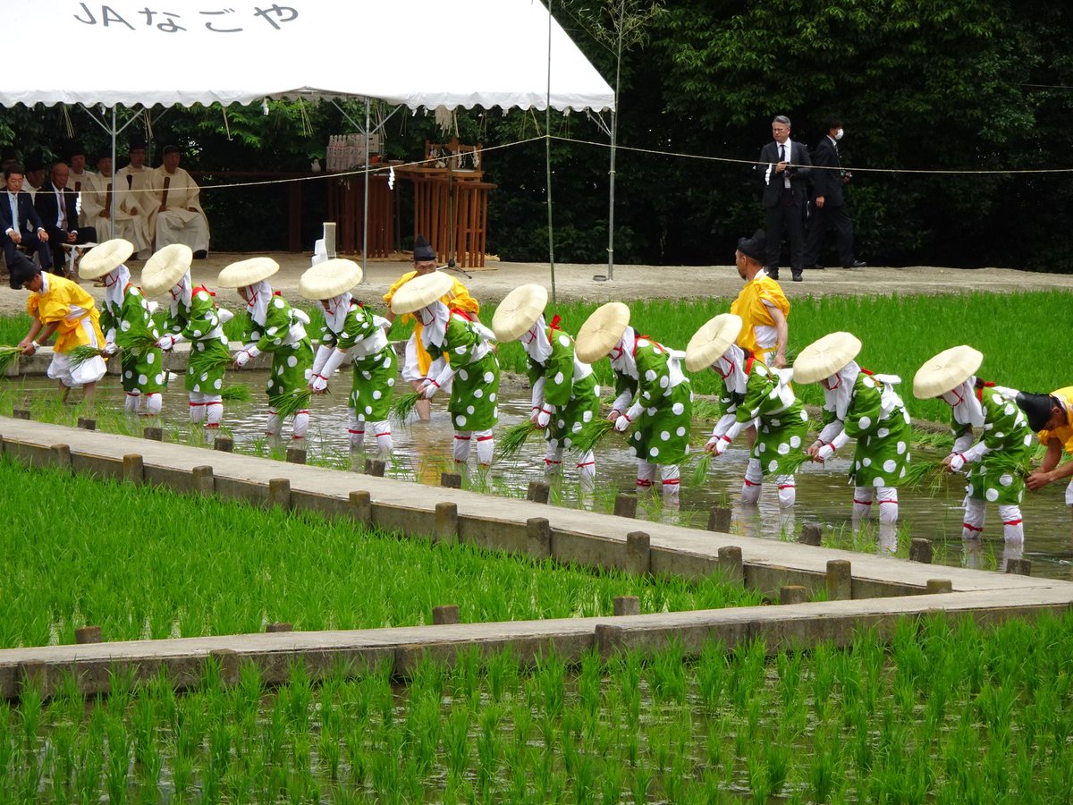 Ruby & Emmeline on Twitter: "熱田神宮 大高斎田御田植祭 その13 10:52 大高斎田 早乙女さんの田植え その1"