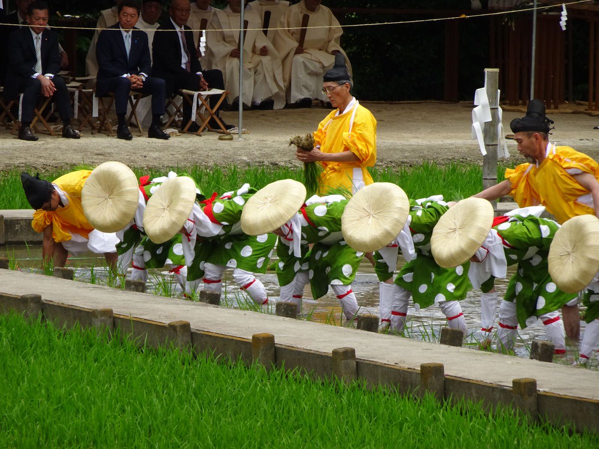 Ruby & Emmeline on Twitter: "熱田神宮 大高斎田御田植祭 その13 10:52 大高斎田 早乙女さんの田植え その1"