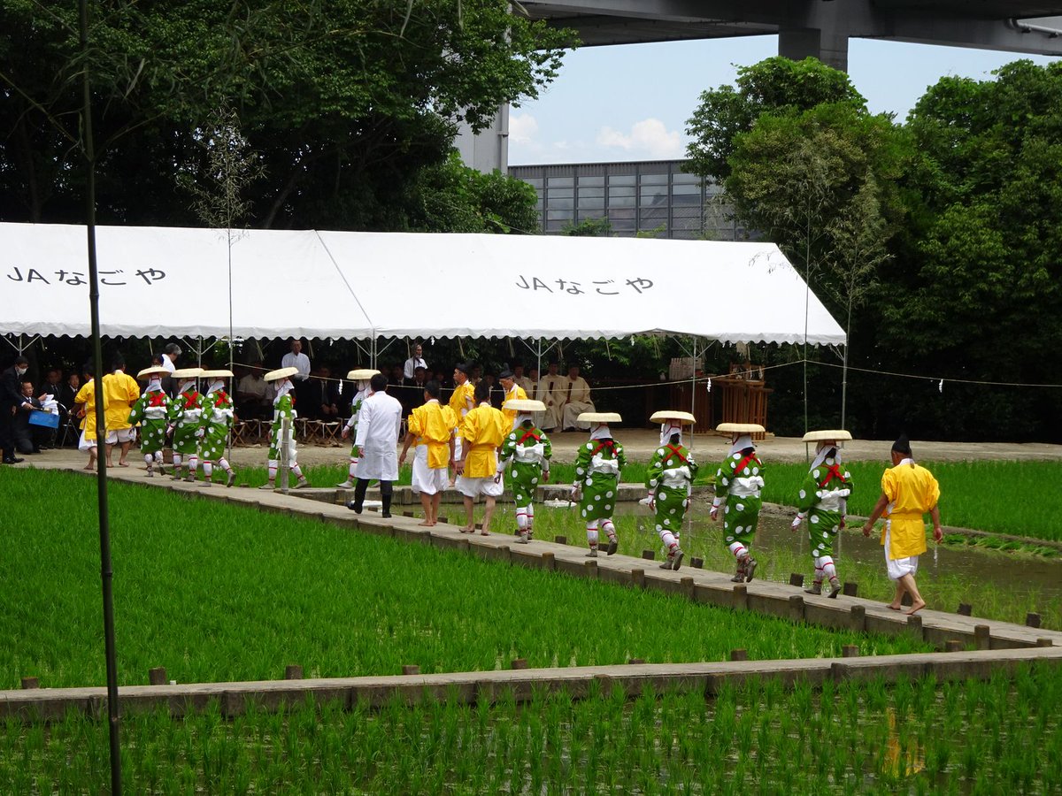 Ruby & Emmeline on Twitter: "熱田神宮 大高斎田御田植祭 その15 10:57 大高斎田 半分植えたところで田植えが終わりました。早乙女さんが斎田から出ます。"