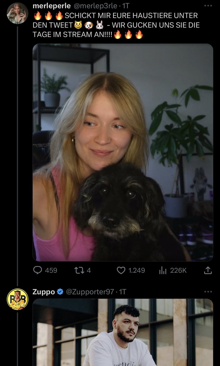 Michi On Twitter Hat Mehdi Sich Nicht Doppelt Selbst Gefickt Und Sagt Dass Er Mit Einer Hure