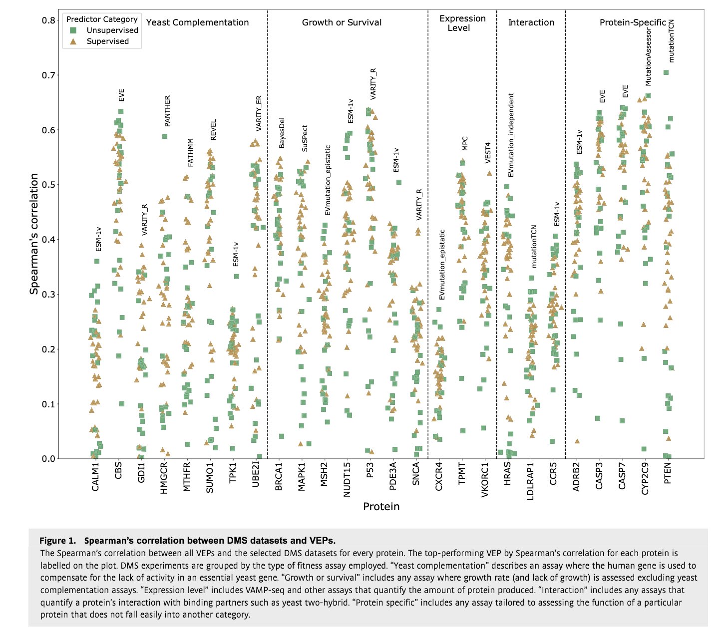 Biodecoded On Twitter Updated Benchmarking Of Variant Effect Predictors Using Deep Mutational