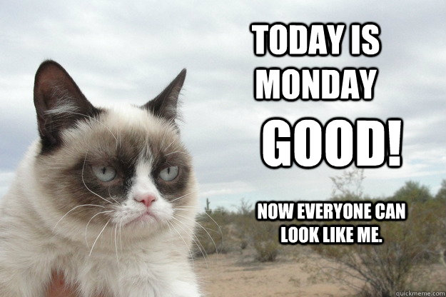 Mondays Grumpy Cat