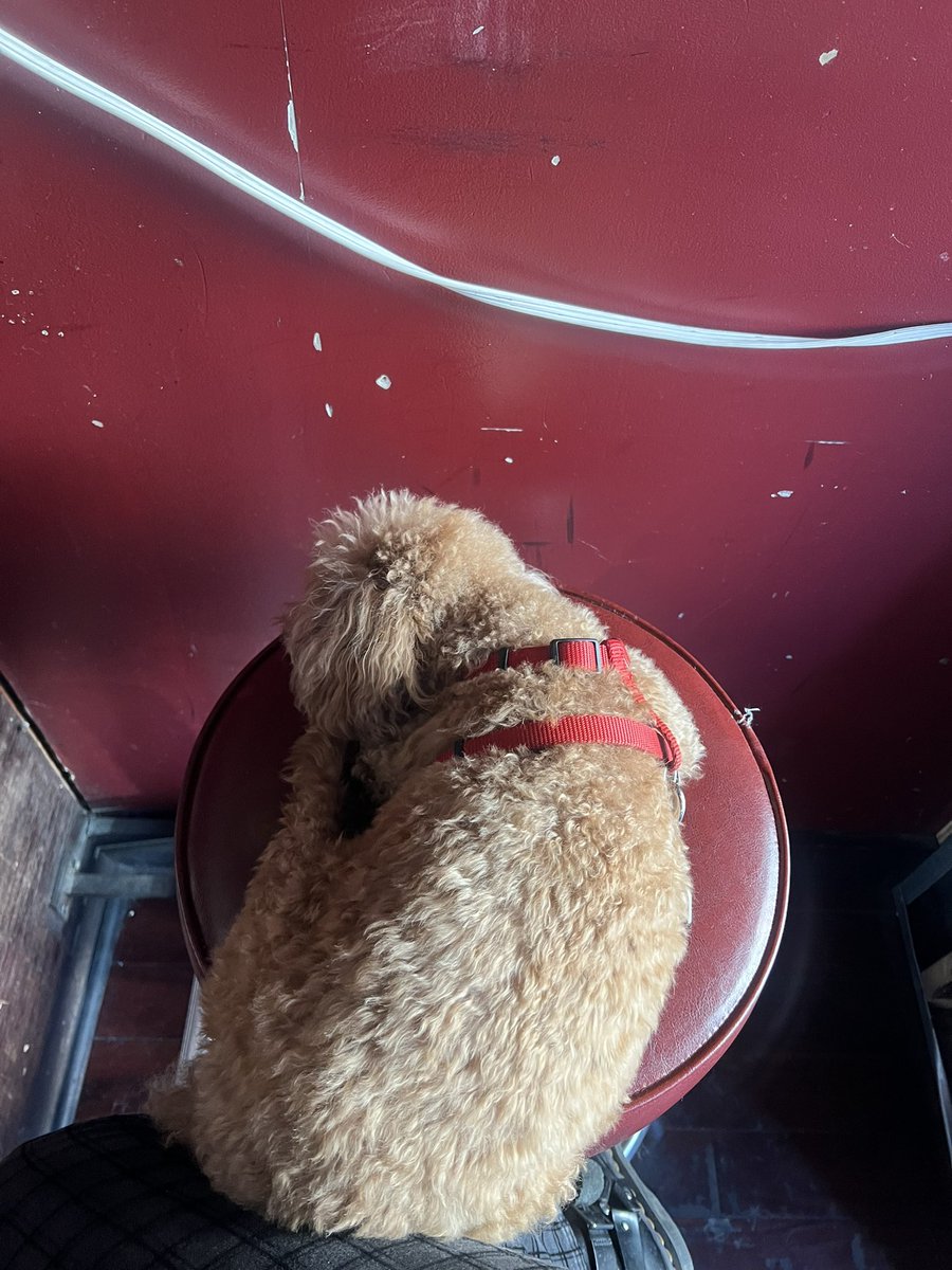 「It's Sunday, baby」|gianna meolaのイラスト