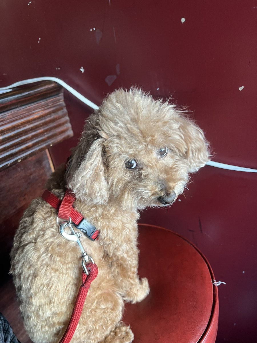 「It's Sunday, baby」|gianna meolaのイラスト