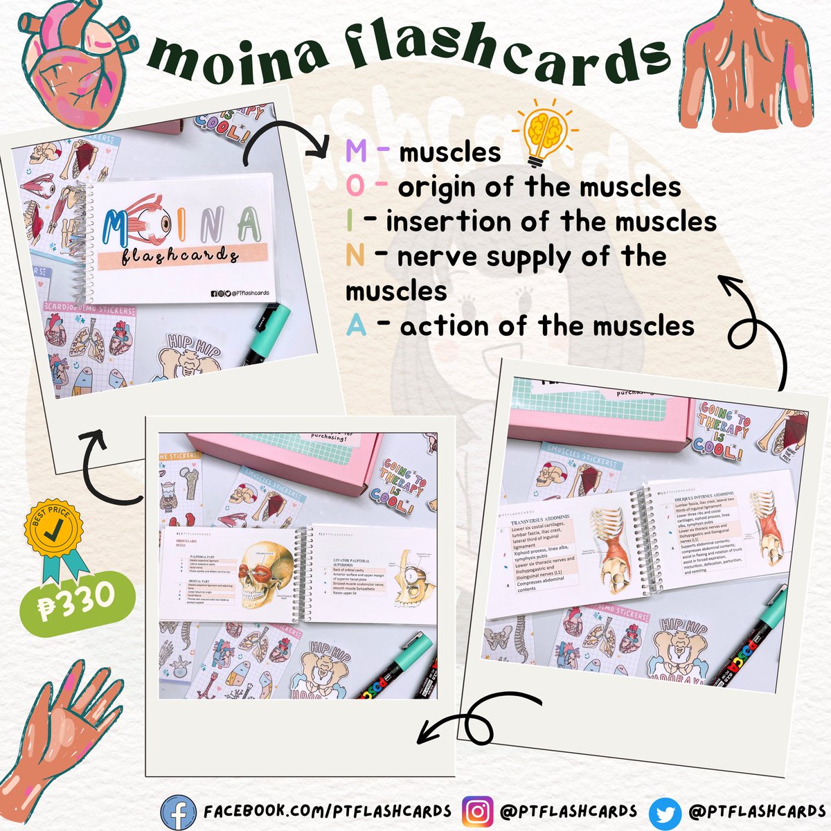 PT flashcards on Twitter: "RT @PTFlashcards: Hypothenar & Thenar Muscles 💡 MOINA Flashcards - dm ...