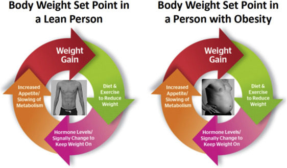 Set Point Psychology