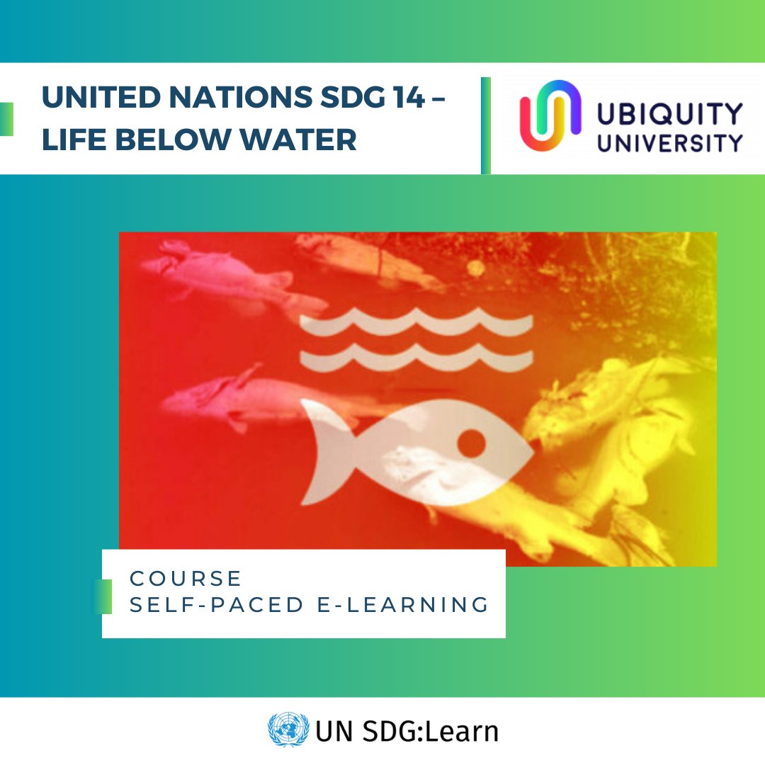 UN SDG:Learn on Twitter: "🌊 Explore the wonders of #SDG14 - Life Below Water with @UbiquityU ...