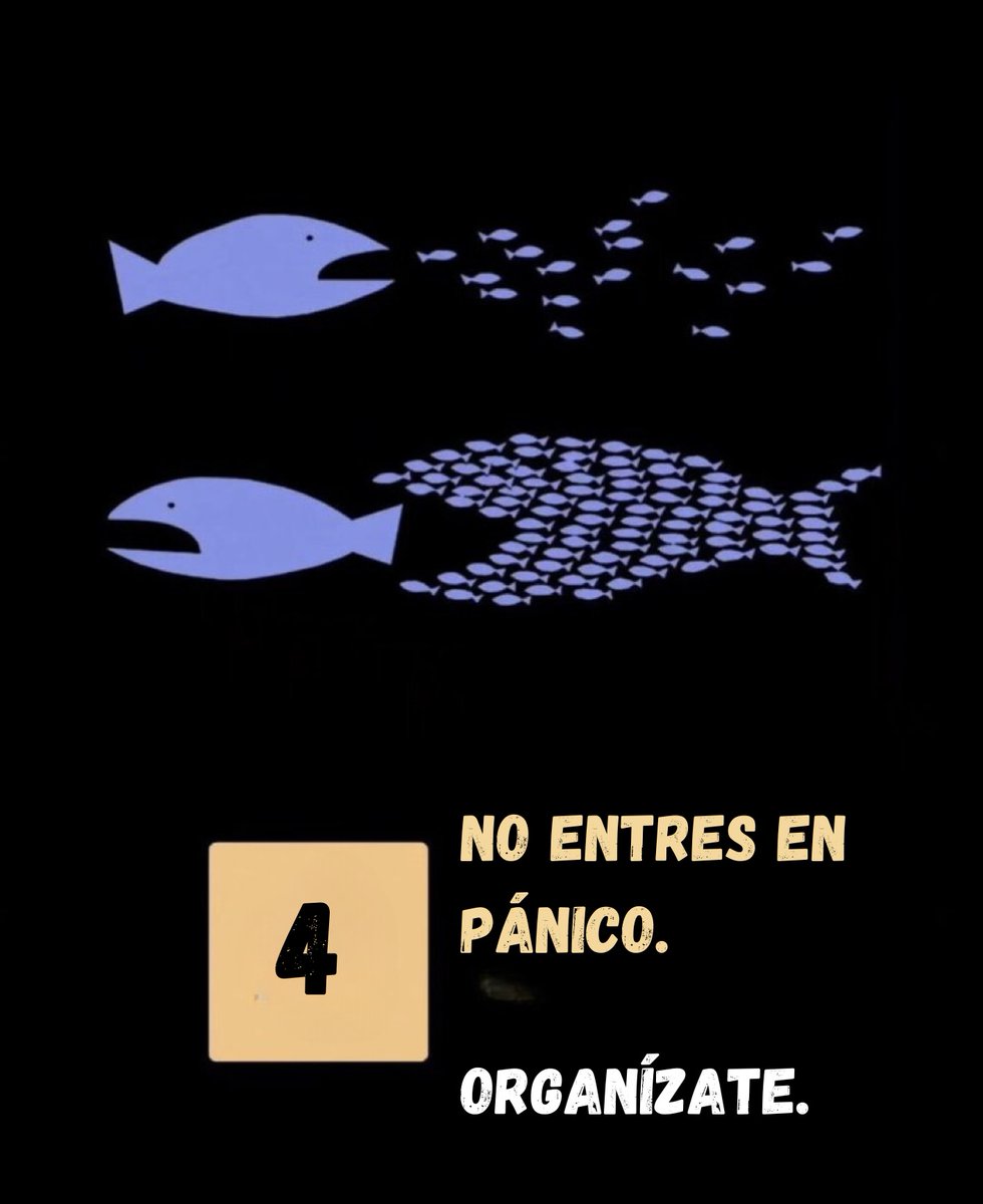 8 imágenes que no puedes perderte en tu vida : 👇🧵👇 - Thread from ...