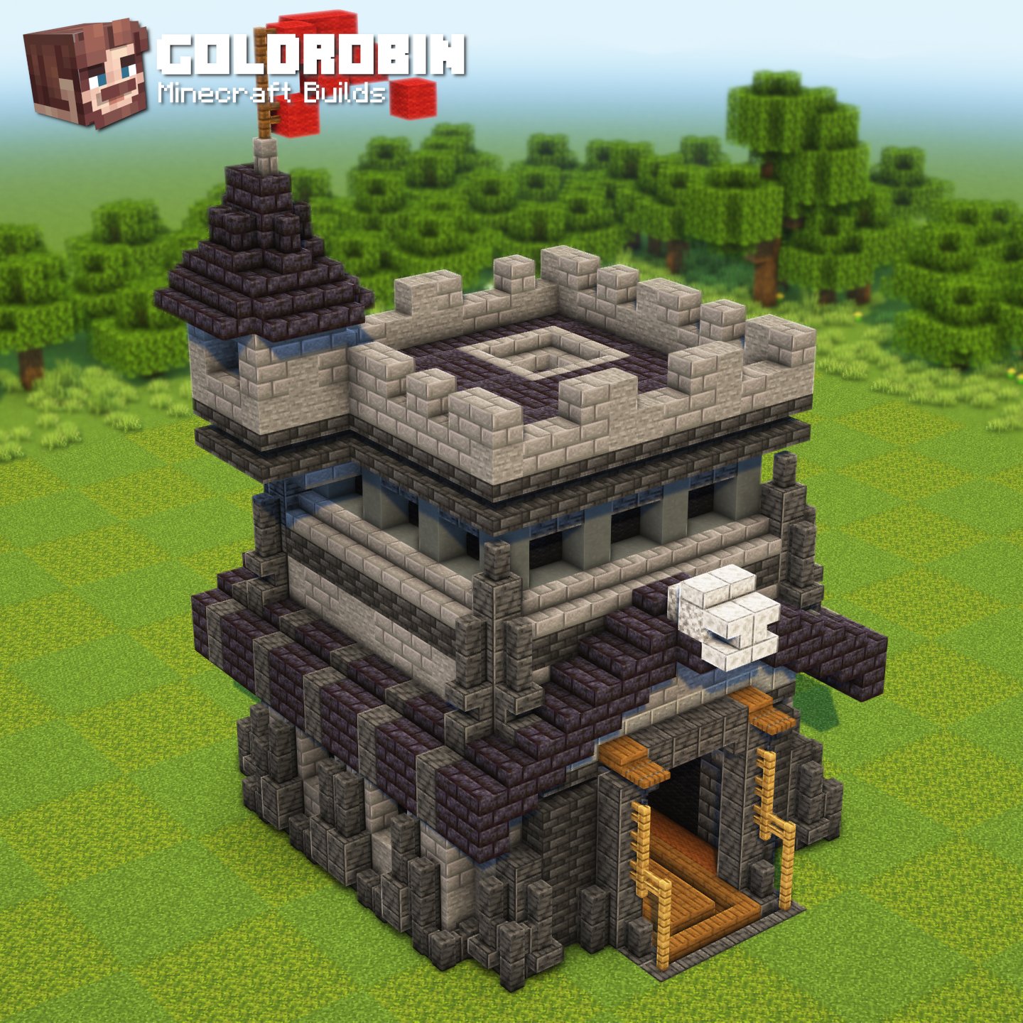 Minecraft Town Hall Ideas