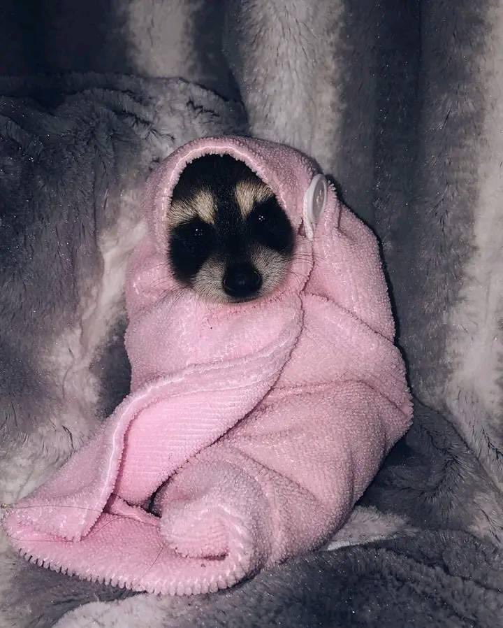 JasperDev on Twitter: "Soy ese"