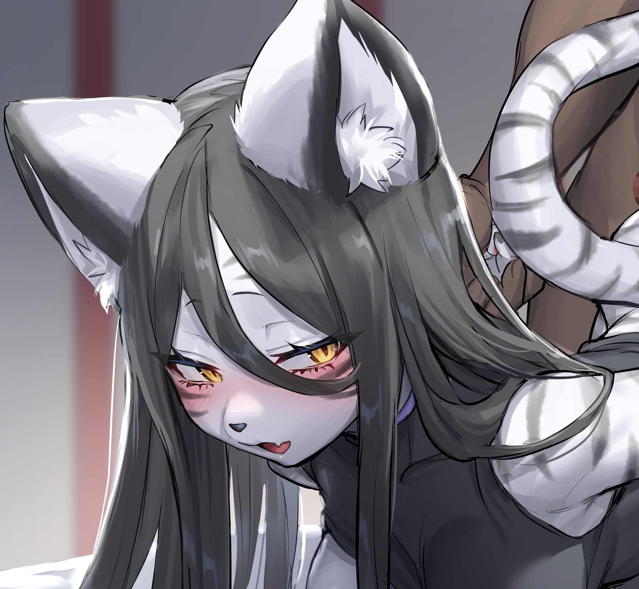 すうりん on Twitter: "FANBOX更新しました！ https://t.co/xwhxRvc2tb https://t.co/CvsbpcUflT" / Twitter