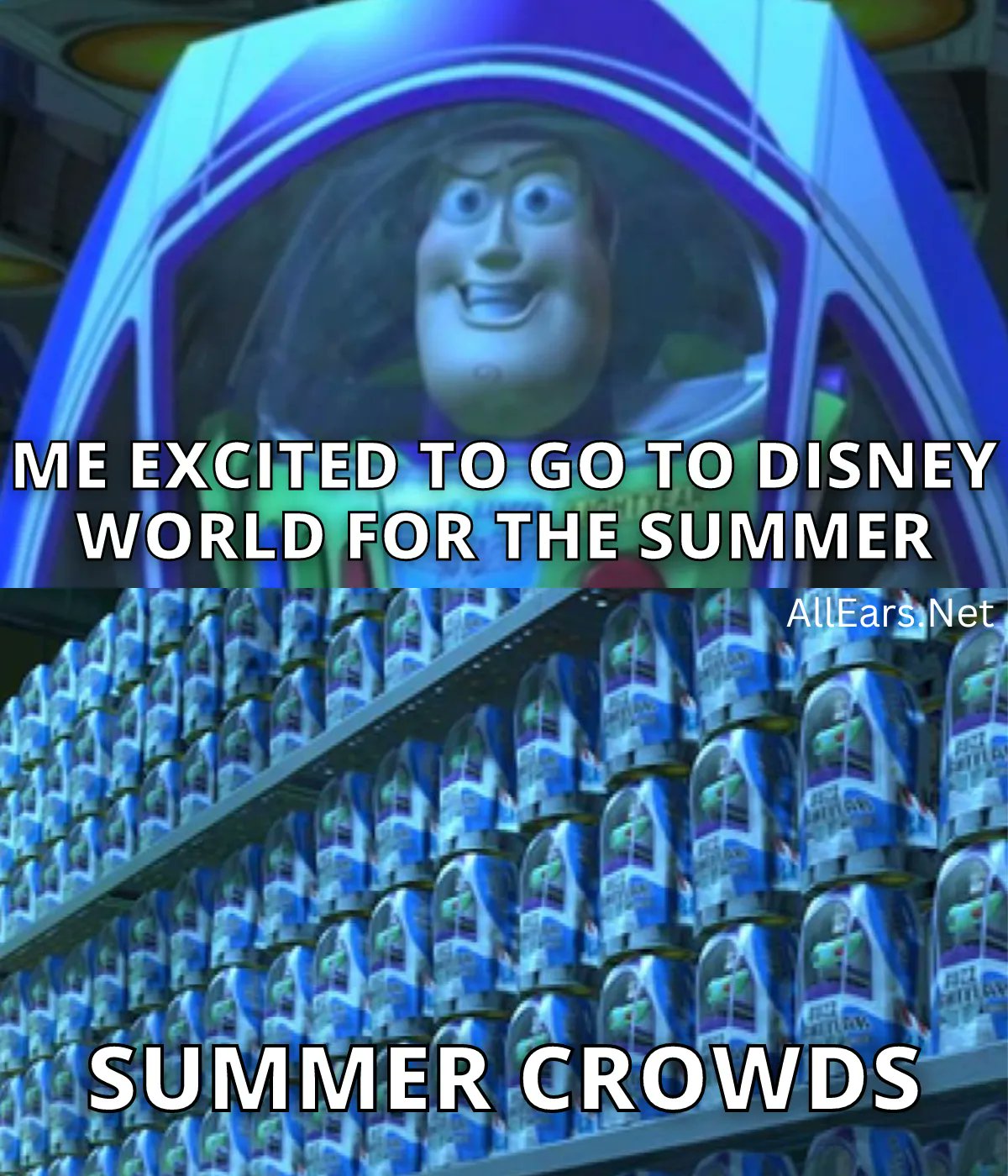 Disney World Meme Girl