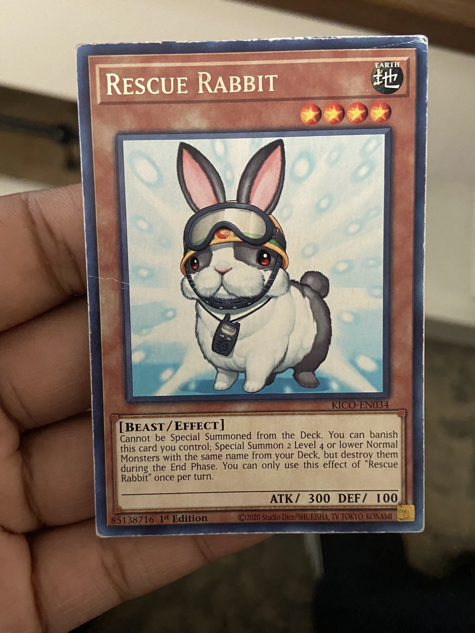 Rescue Rabbit