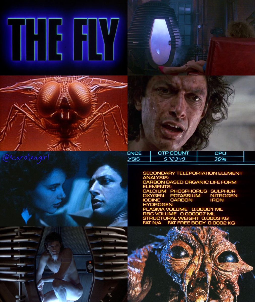 🔪🔪Jeanne Loves Horror🔪🔪 on Twitter: "The Fly (1986)🪰🎬"