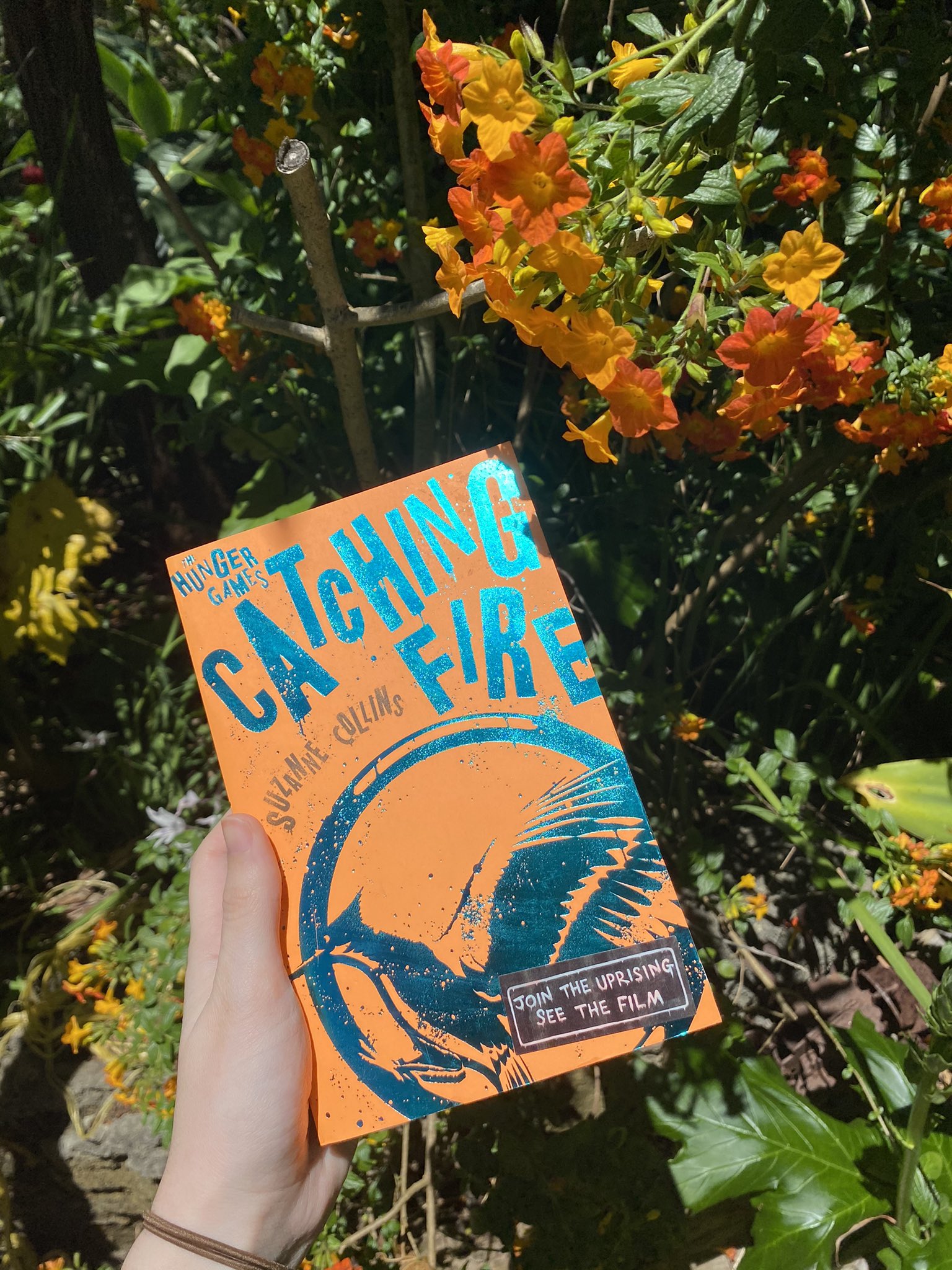 Catching Fire Movie Book Cover