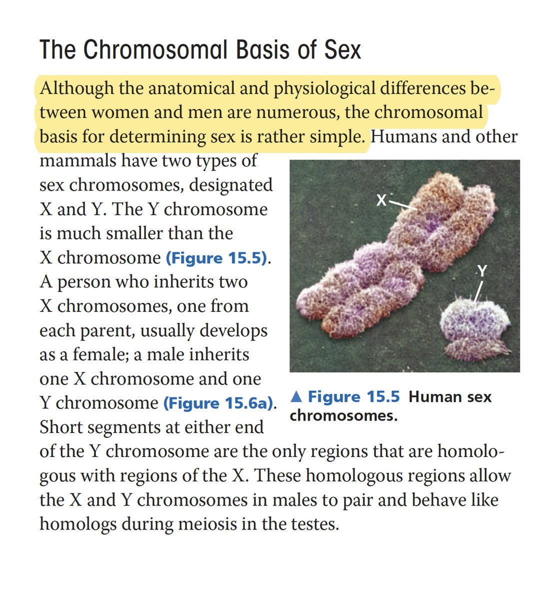 Colin Wright On Twitter The Slow Infiltration Of Gender Pseudoscience In The Most Popular