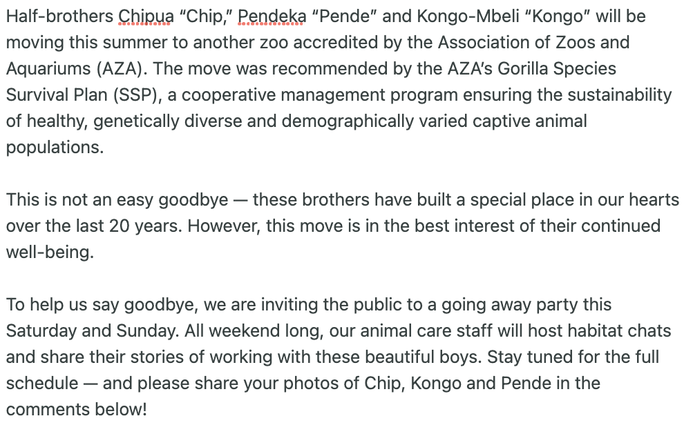 Detroit Zoo on Twitter: "Bon voyage! The time has come to say goodbye to the beloved bachelor ...