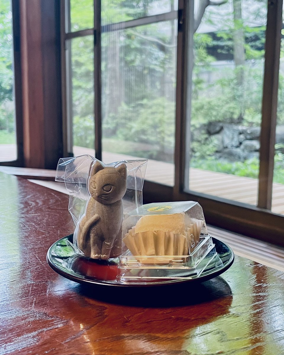 小池水音 on Twitter: "小池水音さん、三島由紀夫賞候補作含む小説集「息」 - 日本経済新聞 https://nikkei.com/article ...