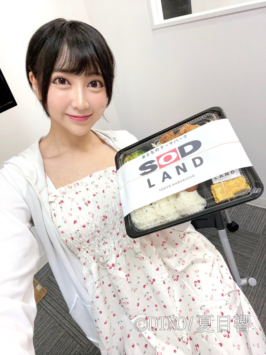 夏目響ニャン🐈‍⬛ NatsumeHibiki【公式】 on Twitter: "本日は珍しいお弁当を頂きました🍱 SODLANDさん、長期休暇中と思っていたら、なんと特製弁当を開発していた ...