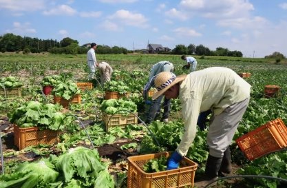 Agriculture Empowering Rural Communities. 1/8 Agriculture plays a ...