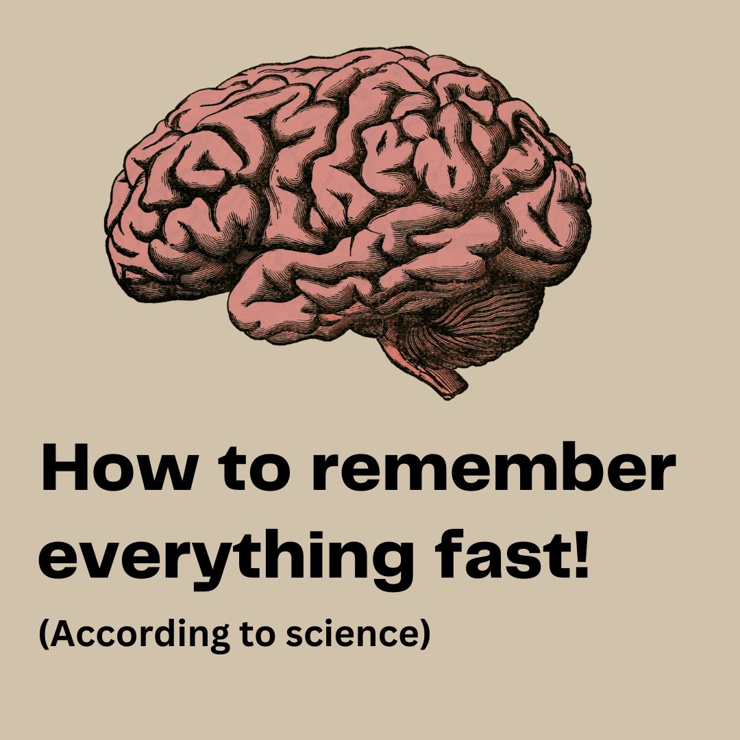 HOW TO REMEMBER EVERYTHING FAST: - Thread - 🧵 - Thread from The Self ...