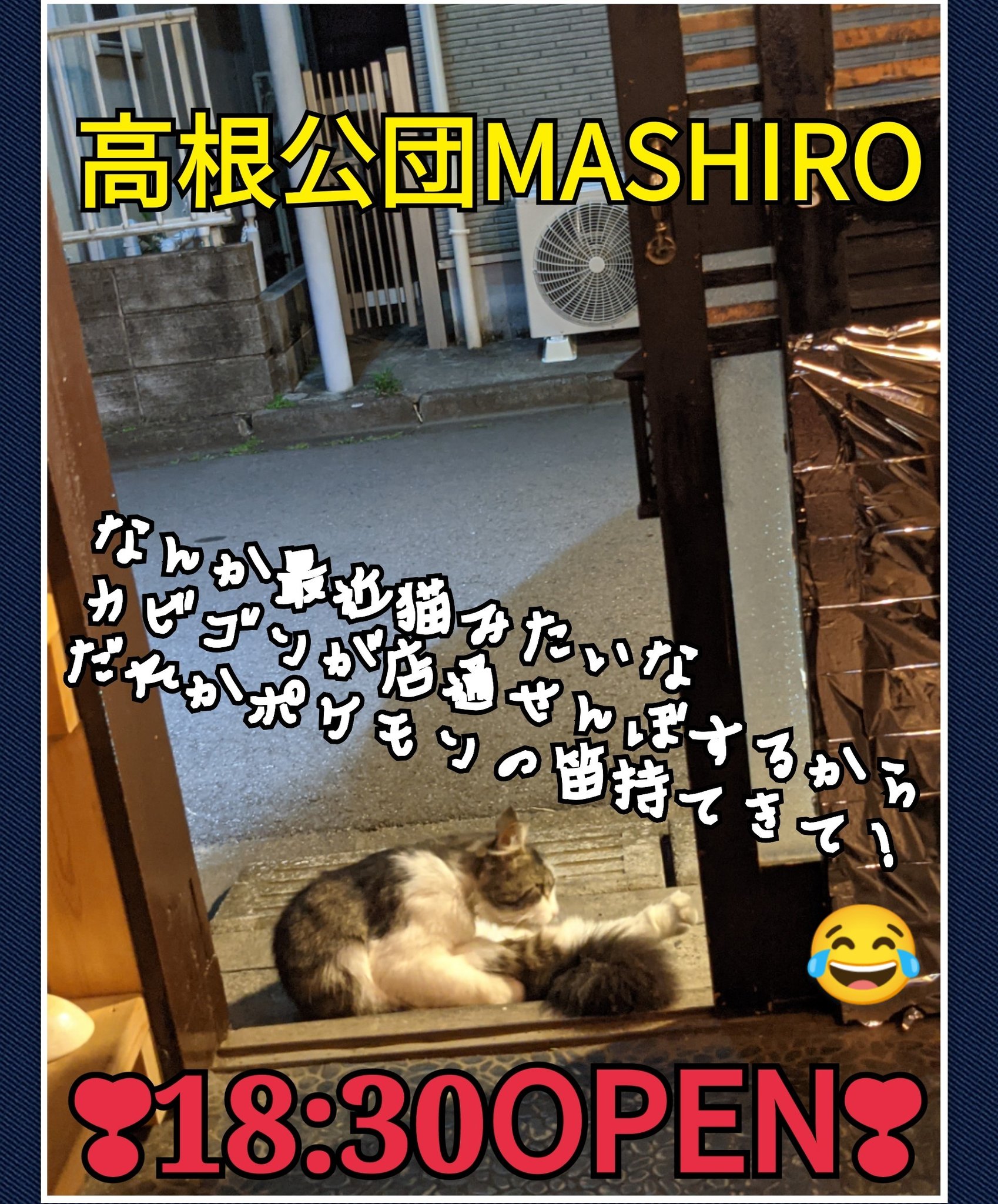 @MASHIRO on Twitter: "ポケモンの笛どこだっけ🤔(笑) #高根公団 https://t.co/eo9z6oJsud" / Twitter