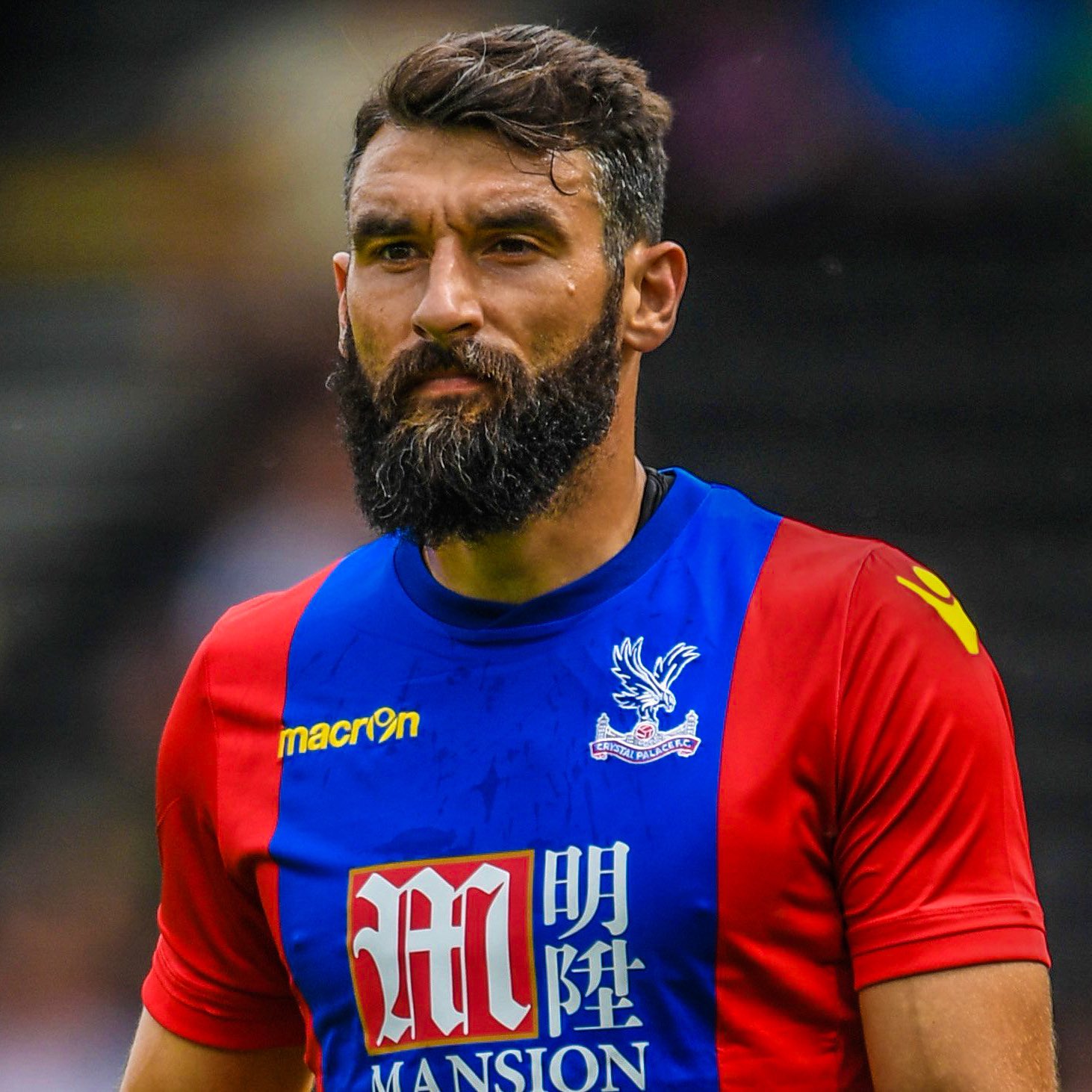 Mile Jedinak Crystal Palace