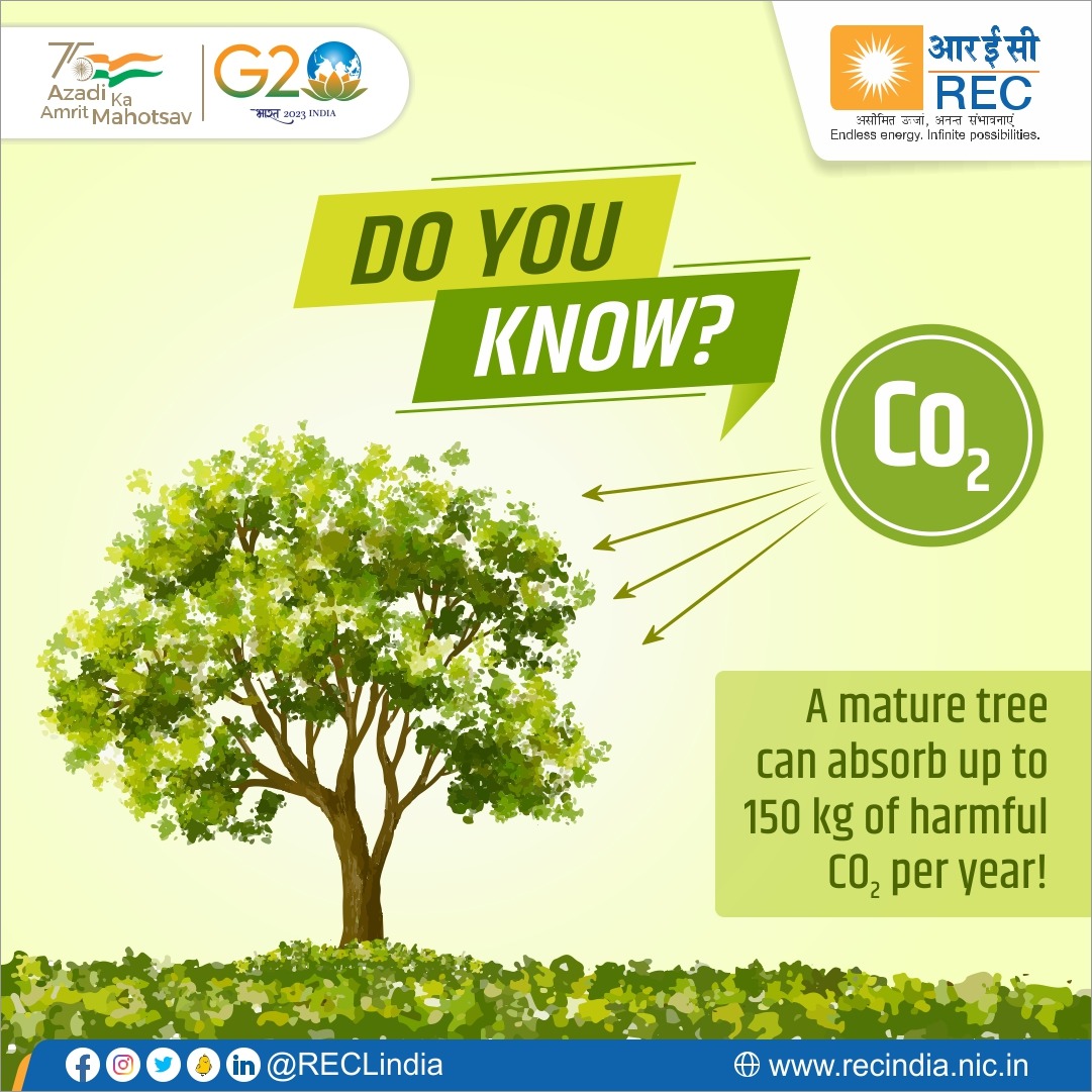 Afforestation Posters