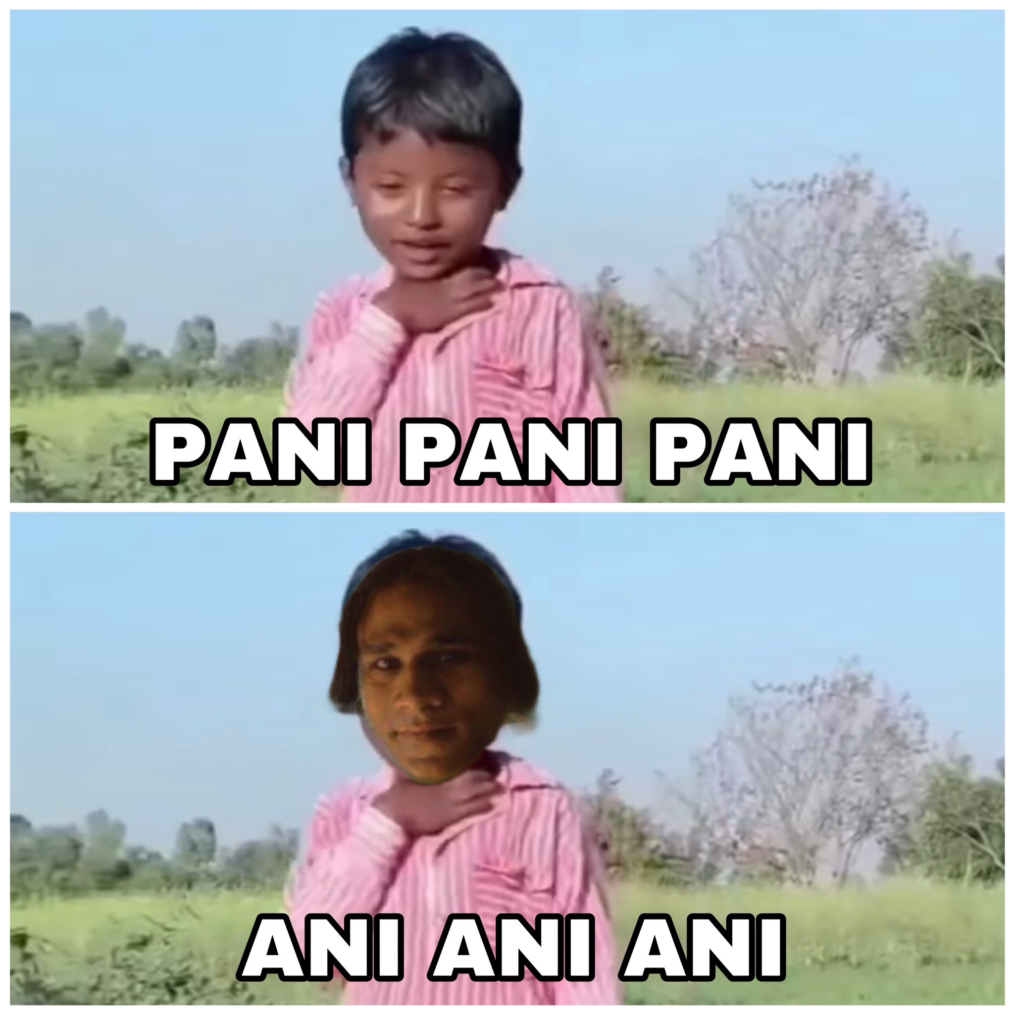 Pani Memes