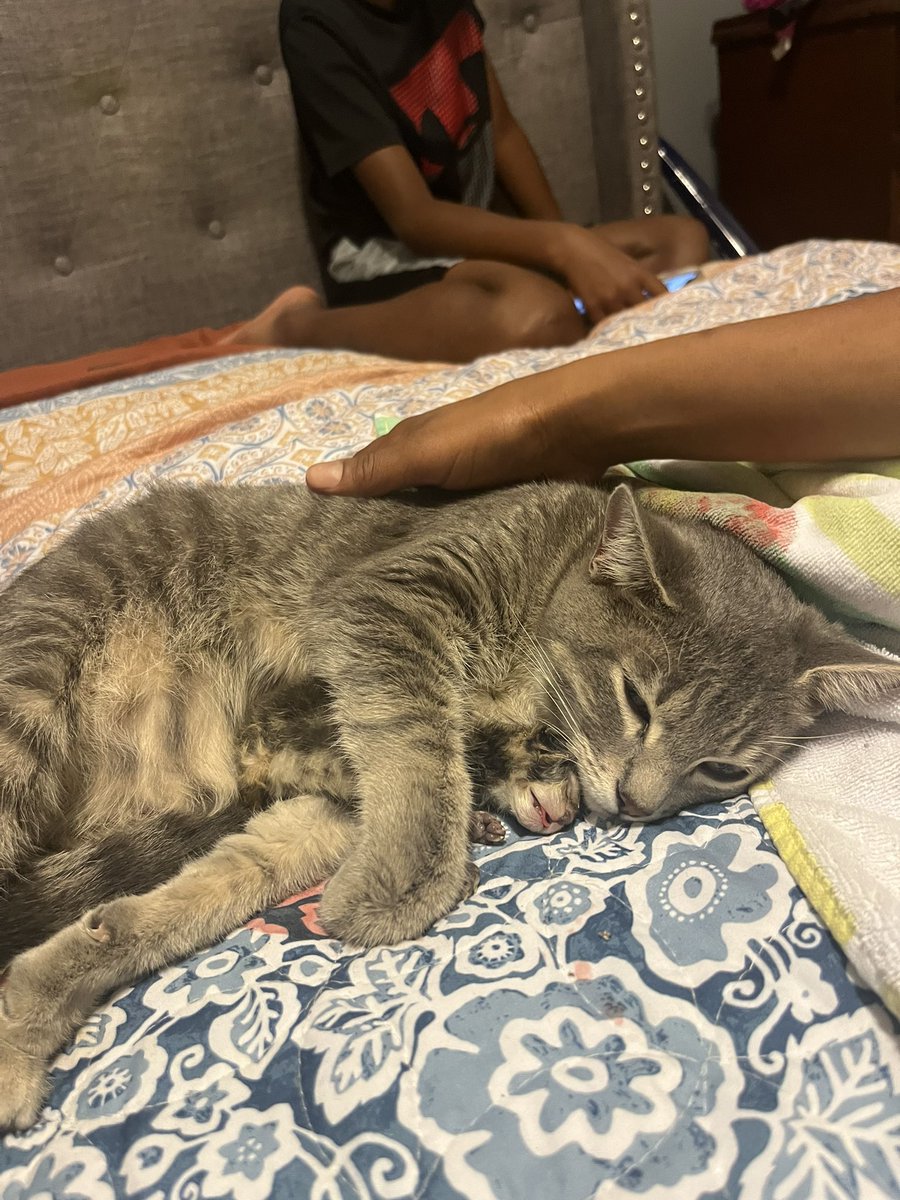 ceili 🌴 on Twitter: "this ruined my day i’m sobbing"