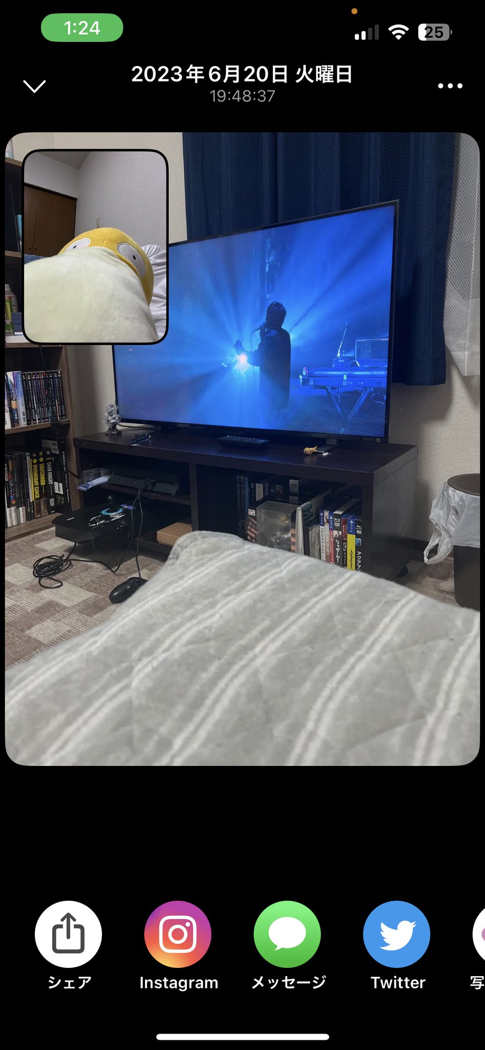 あさか on Twitter: "King Gnuのライブ良すぎませんか；： https://t.co/8Hj1RkXUwW" / Twitter