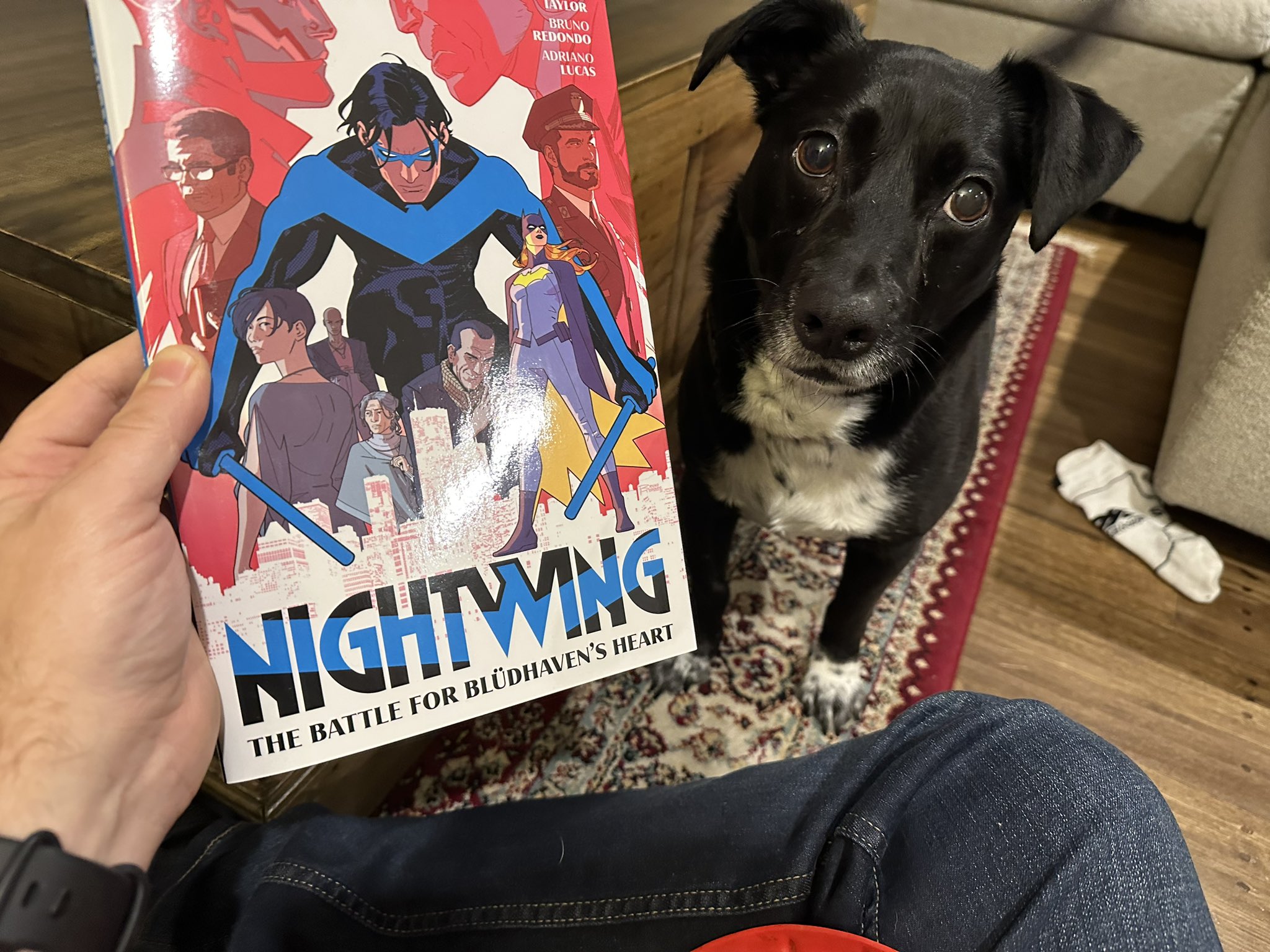 Heart Of The Nightwing