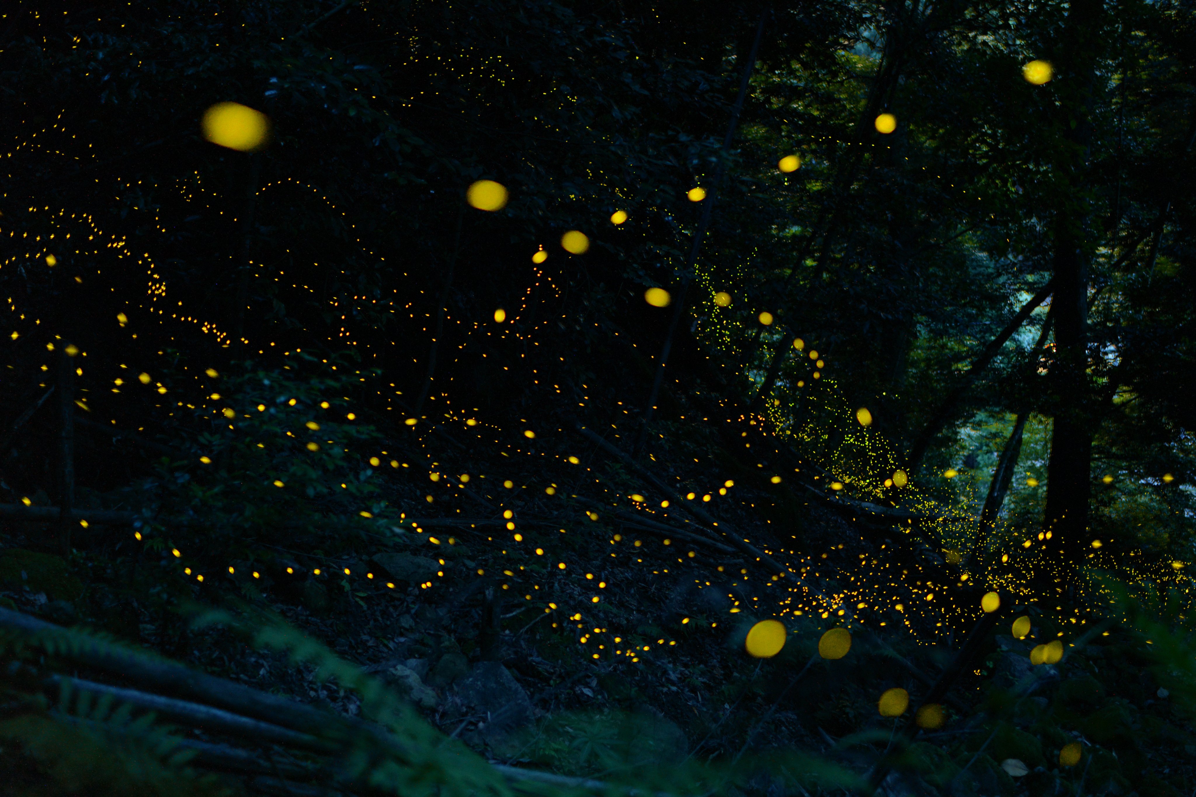 @気ままなやっくん on Twitter: "@ystk_yrk 2時間くらい前に仕事から帰宅。 寝る前にPCいじってます。 スタジオ撮影と合わせて脳内トレーニングも進んでますか？ 身体も脳も ...