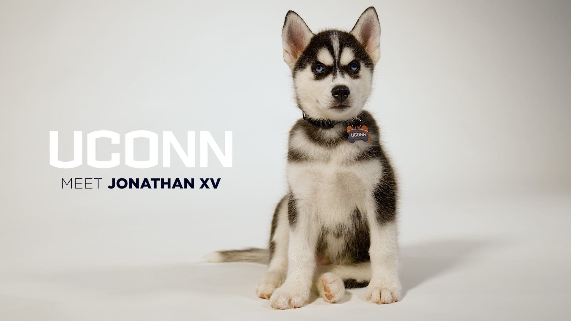 Uconn On Twitter Theres A New Husky On Campus Welcome To Uconn