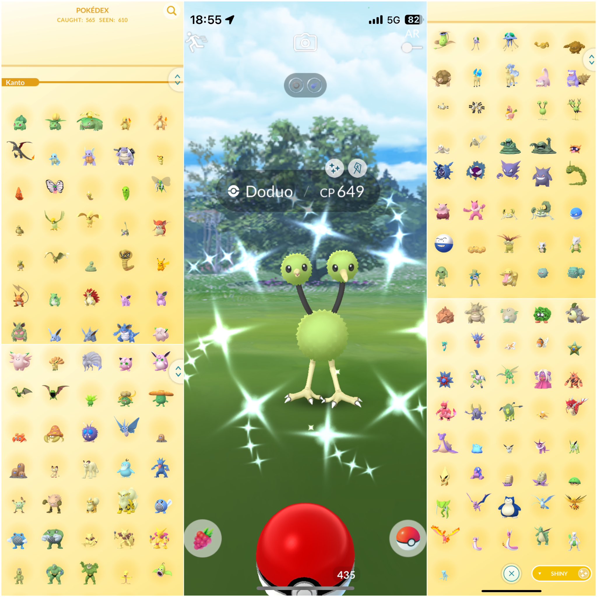 Pokemon Kanto Pokedex Mega Pokémon Kanto Region Pokédex Set