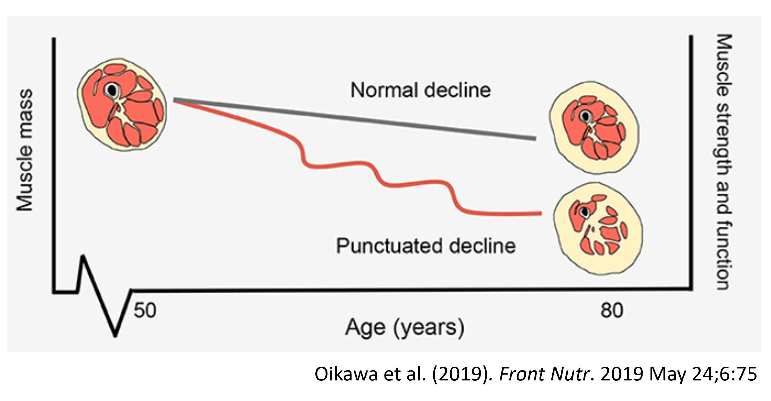 SPPB (@AndanteFit) / Twitter