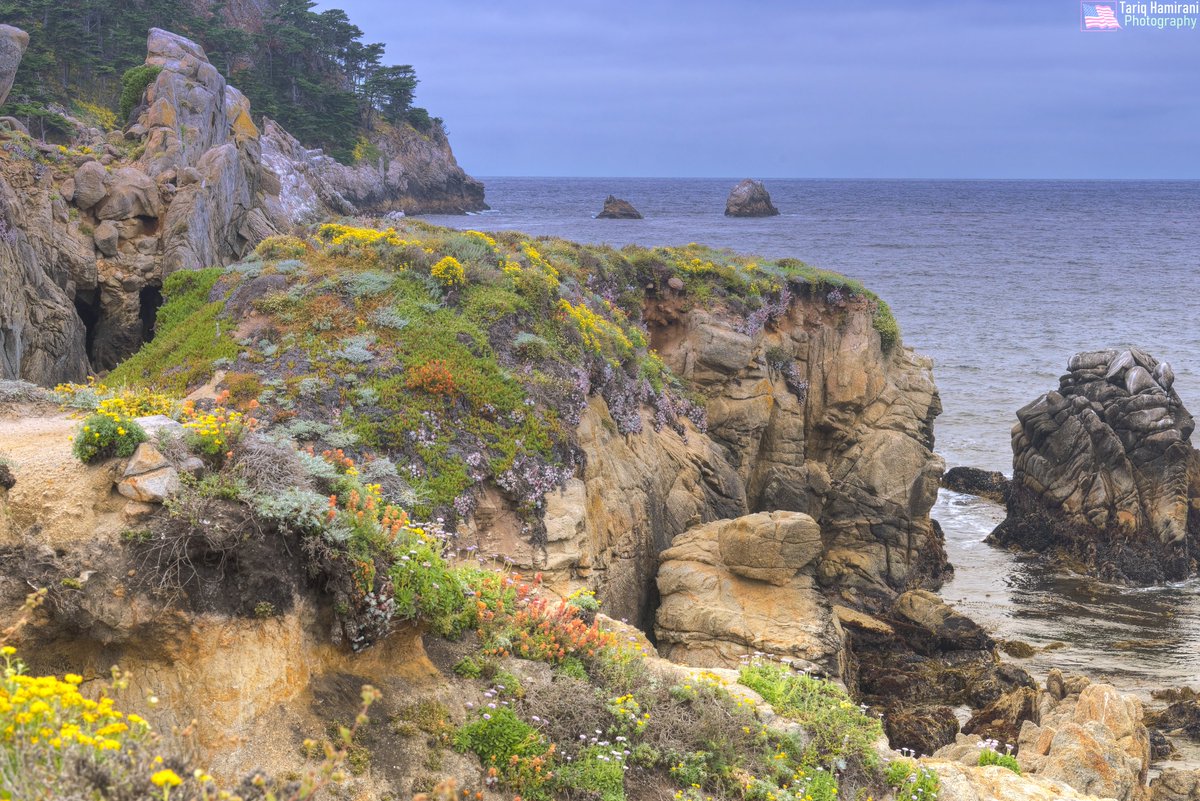 Tariq Hamirani nature and landscape photography on Twitter: "Granite Point Trail. Point Lobos ...