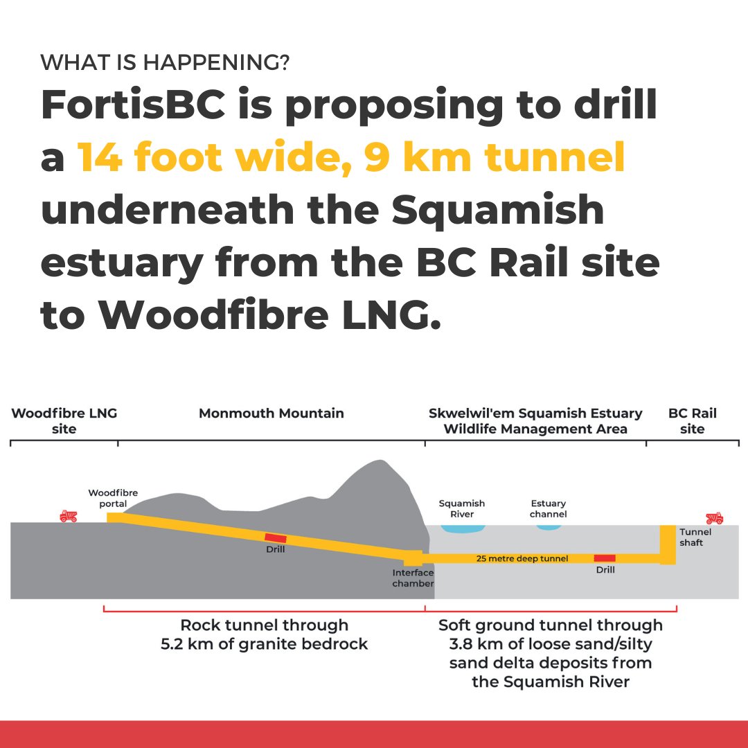 Thread by @MySea2Sky on Thread Reader App – Thread Reader App