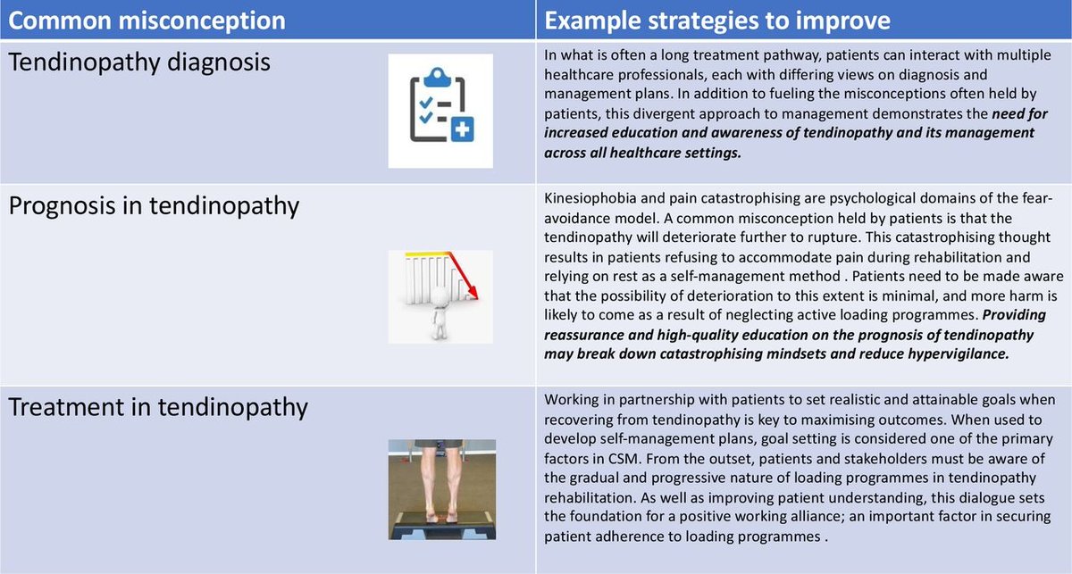 Physio Network on Twitter: "🦵 Applying the biopsychosocial approach to tendinopathy 📲 http://dx ...