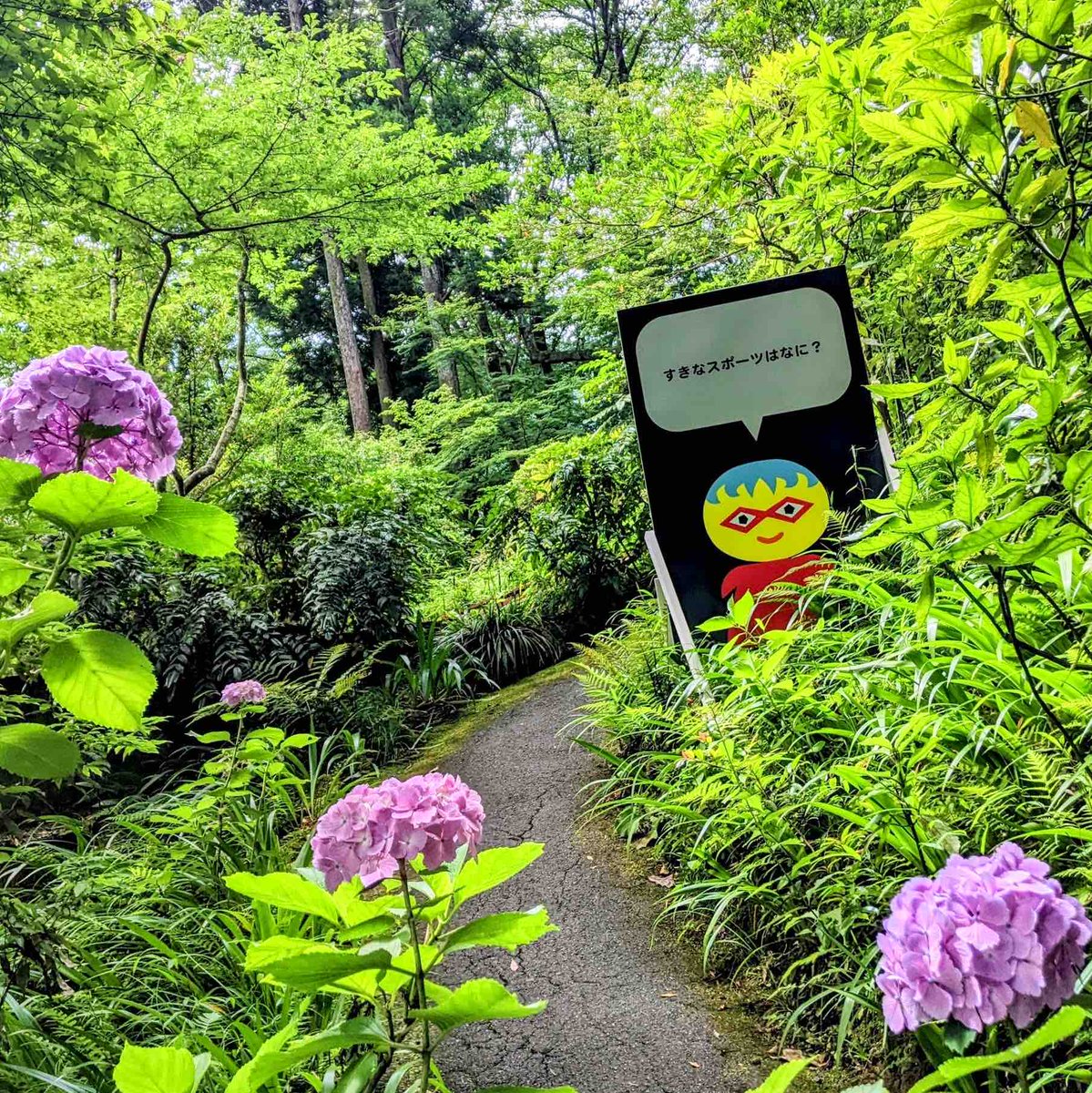彫刻の森美術館 on Twitter: "あじさいが見頃だと思います。 おしゃべりOKの参加型展覧会「しつもんパーク」開催中！ https://hakone-oam.or.jp ...