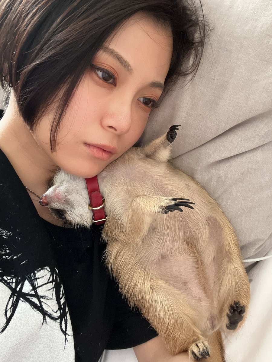 RaMu on Twitter: "【7月会えるイベントまとめ】 7/2(日)DVD発売イベント 詳細 https://passmarket.yahoo.co.jp/event/show ...