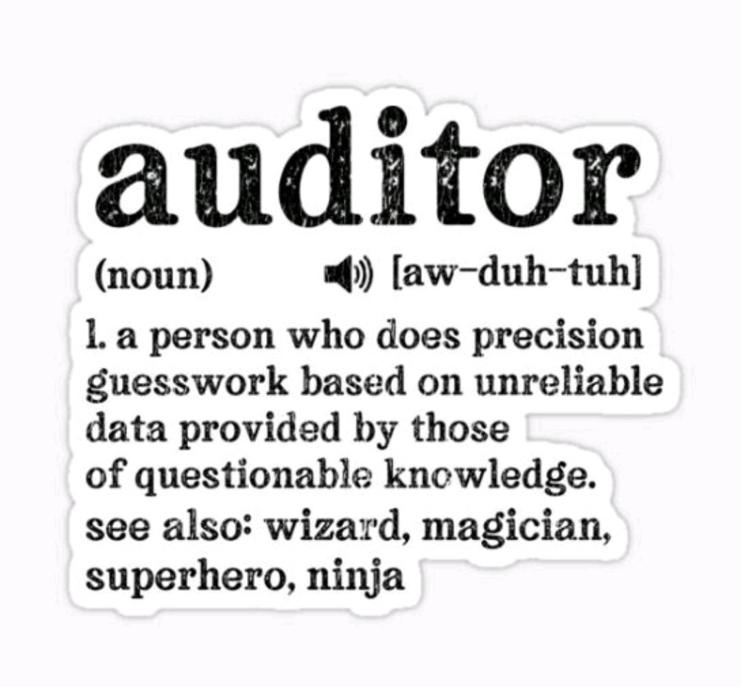 Auditor Jokes