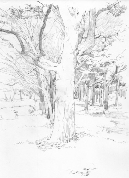 下田スケッチ【絵の描き方】 (@simodasketch) さんのイラスト・マンガ作品まとめ (283 件) - Twoucan