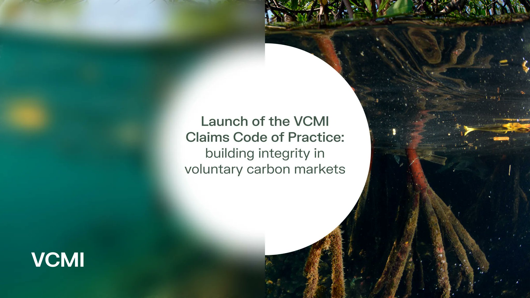 VCMI on Twitter: "VCMI’s Claims Code of Practice, launched today, is an essential step towards ...
